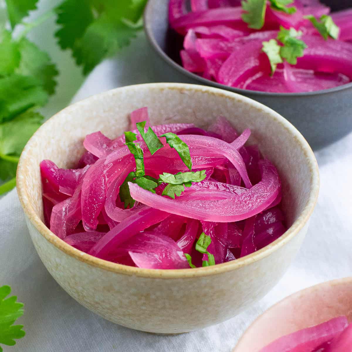 Asian Pickled Red Onions - Plates by Nat