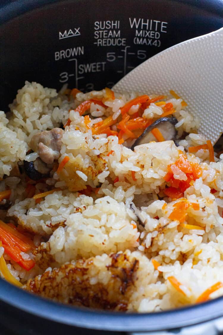 Japanese Rice Cooker Chicken Rice - Plates by Nat