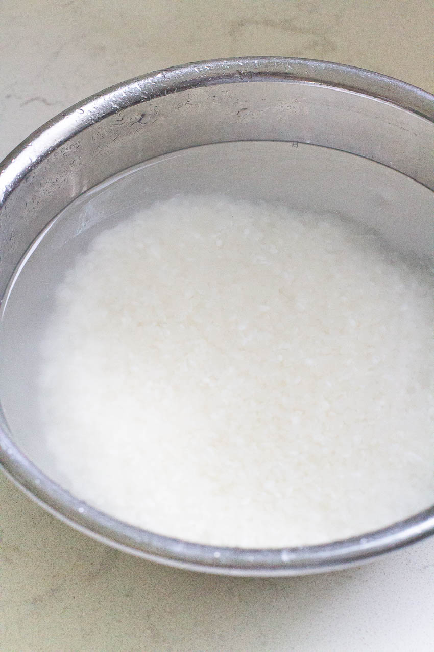 Japanese Rice Cooker Chicken Rice - Plates by Nat