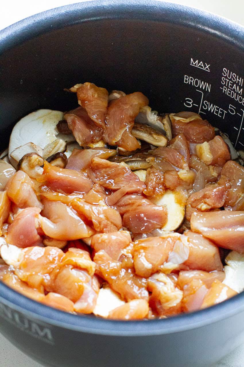 Japanese Rice Cooker Chicken Rice - Plates by Nat
